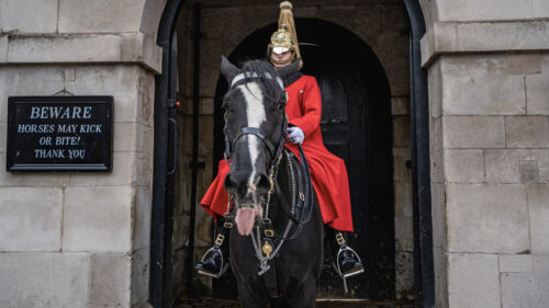 Horse Guards Parade: la relève de la garde à cheval