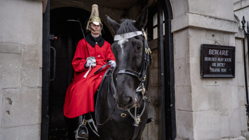 Horse Guards Parade: la relève de la garde à cheval